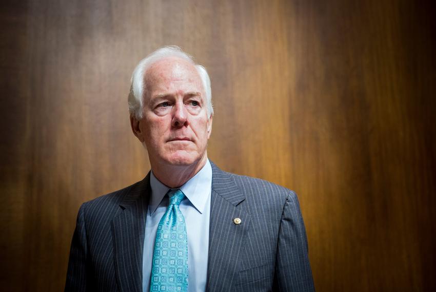 John Cornyn is no Ted Cruz. But does he face a tough Texas reelection ...